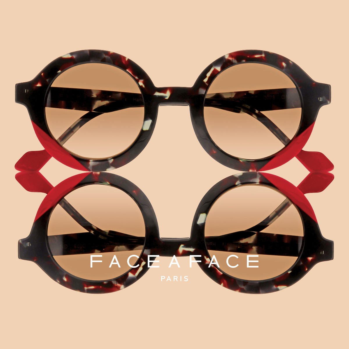 Face A Face // Eye Candy Optical | Eye Candy Optical